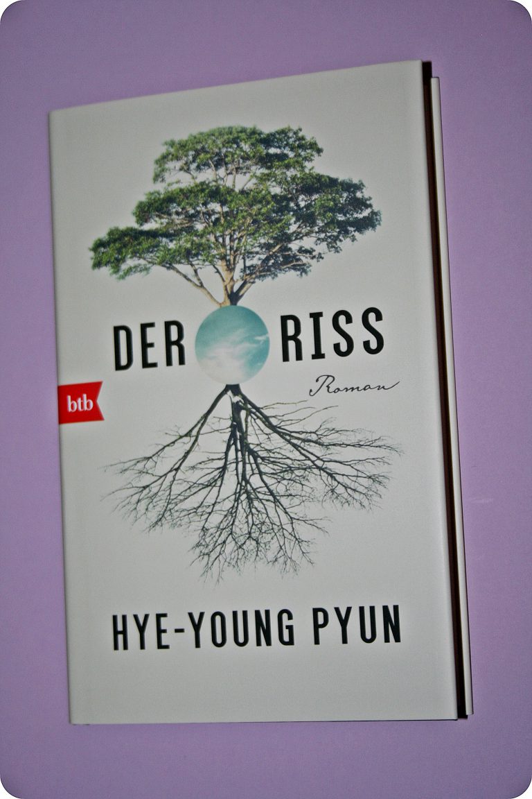 Kurzrezension: Der Riss von Hye - Young Pyun